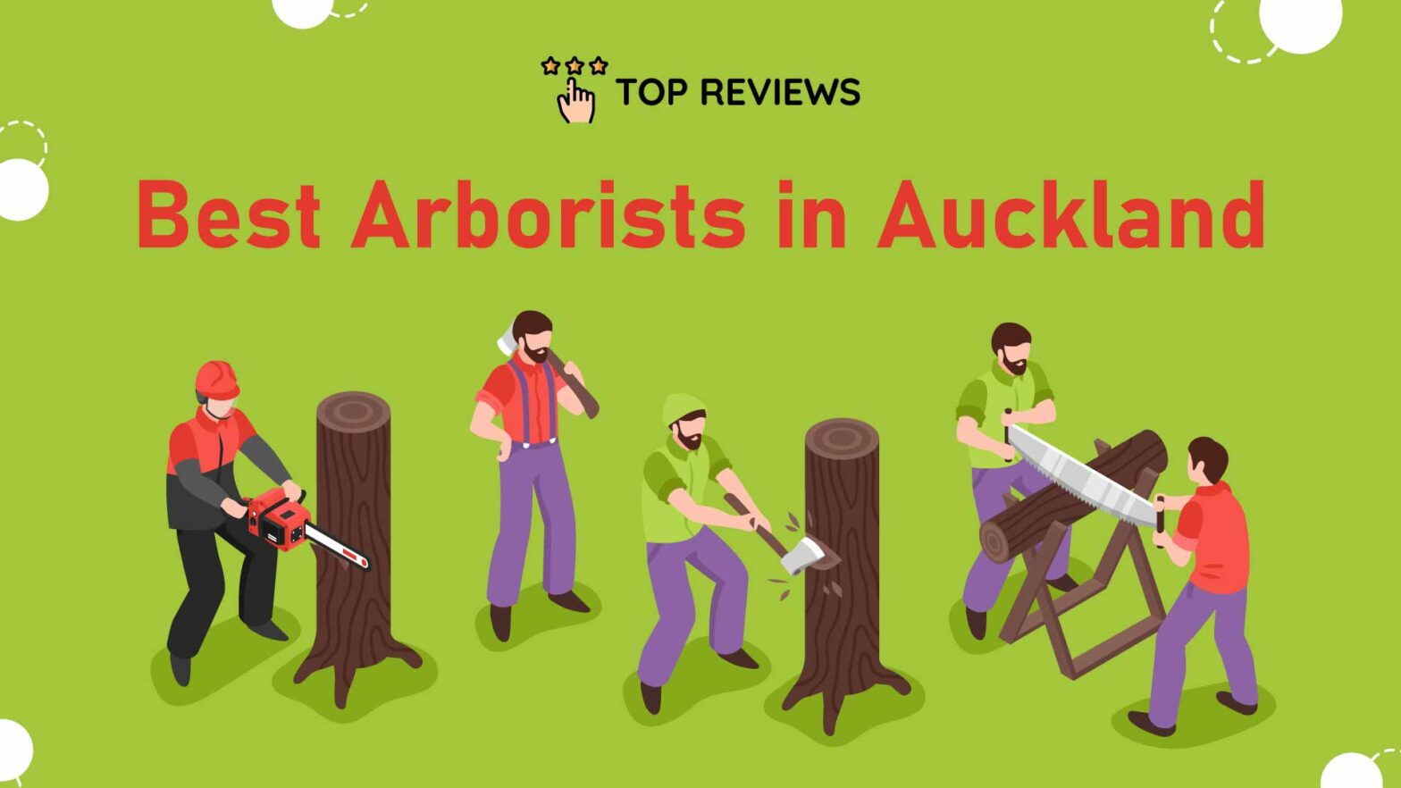 16 Best Arborists in Auckland Reviewed: The Trusted List [2025 ]